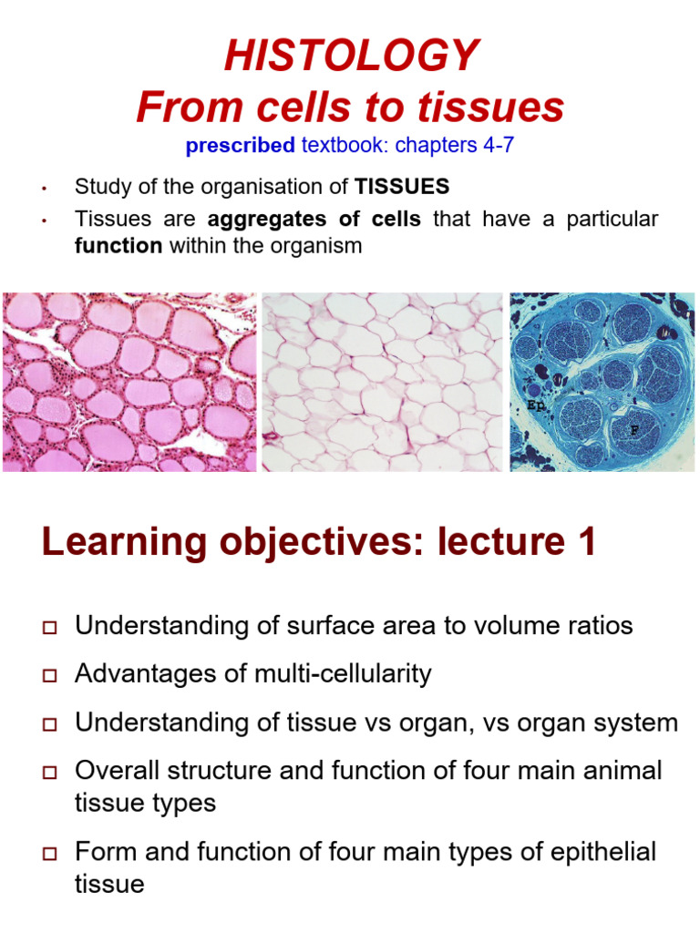 Histology Lecture 1 From Cells to Tissues 1_240425_093052 | PDF ...