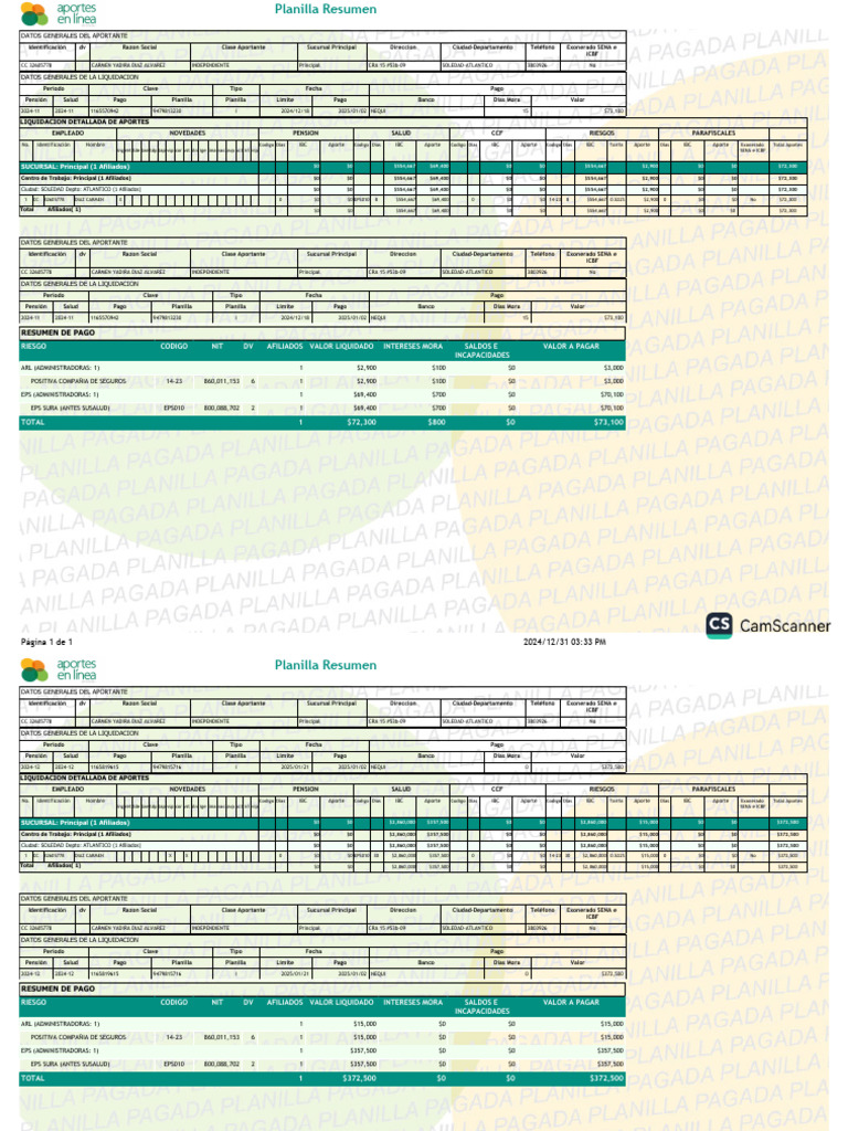 Comprobante planilla NOV-DIC-CARMEN DIAZ | PDF | Servicios financieros | Finanzas personales