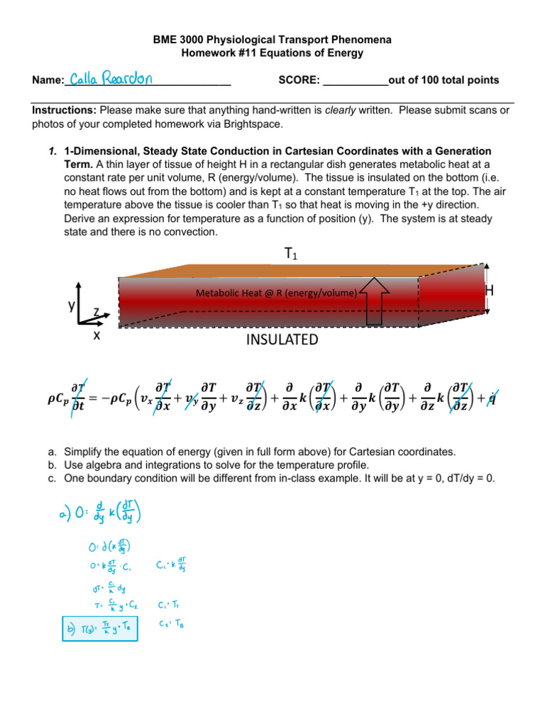 Homework 11 Equation of Energy | PDF | Thermal Conduction | Equations