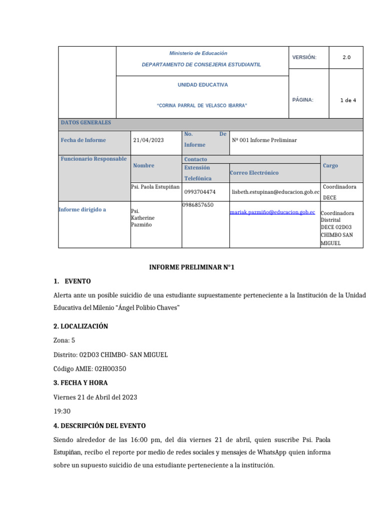 Informe Preliminar 1 | PDF