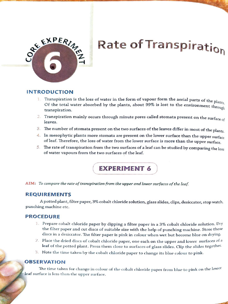 To Compare The Rate of Transpiration From The Upper and Lower Surfaces ...