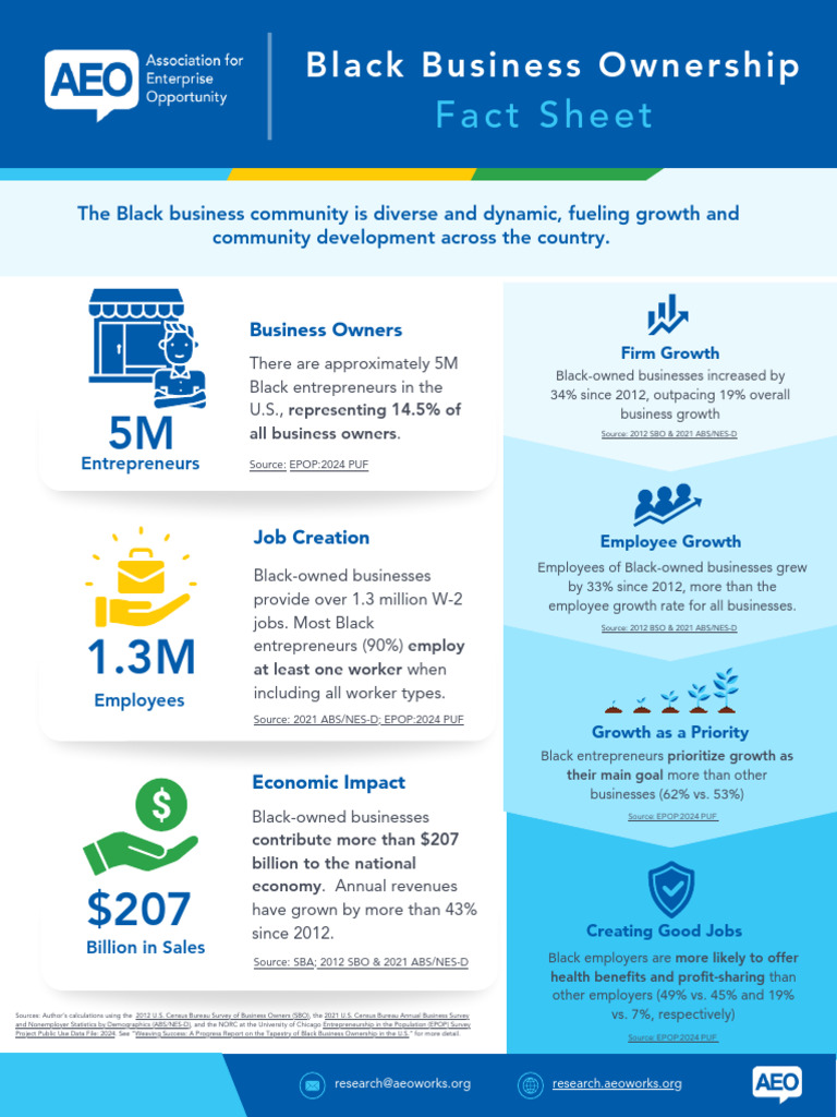 2025 Black Business Ownership Fact Sheet | PDF | Entrepreneurship ...