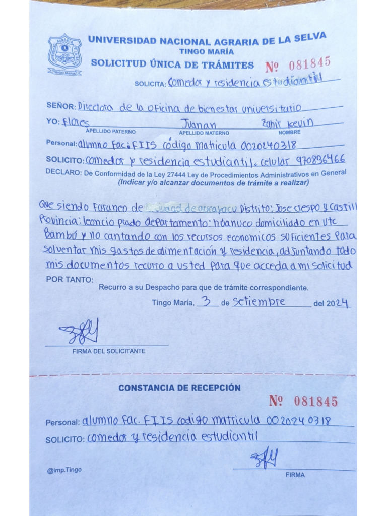 Solicitud Director | PDF