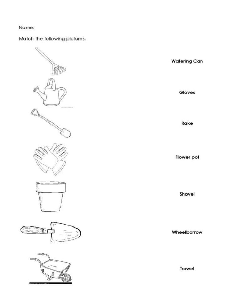 TLE worksheets - 5 | PDF