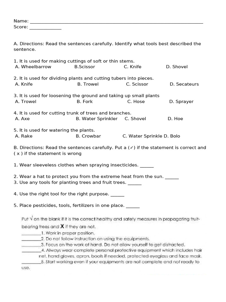 TLE Worksheets - 4 | PDF