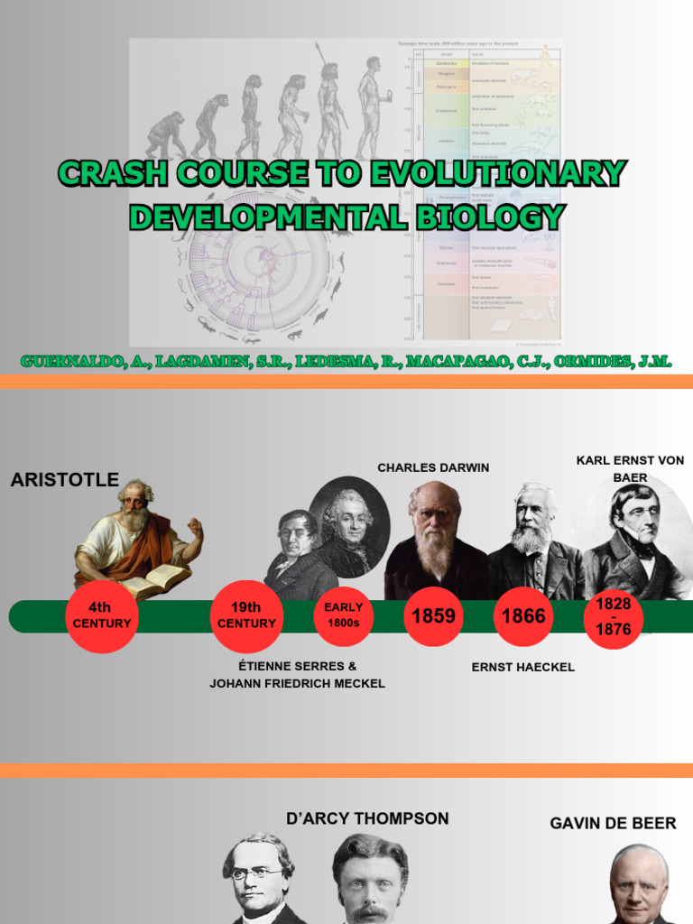 Evolutionary Developmental Biology Guide | PDF