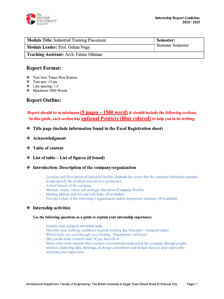 Report Guidelines | PDF