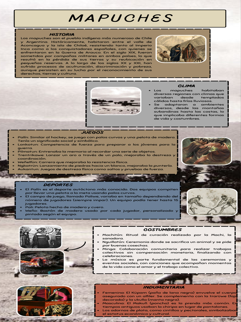 Infografía Mapuches | PDF