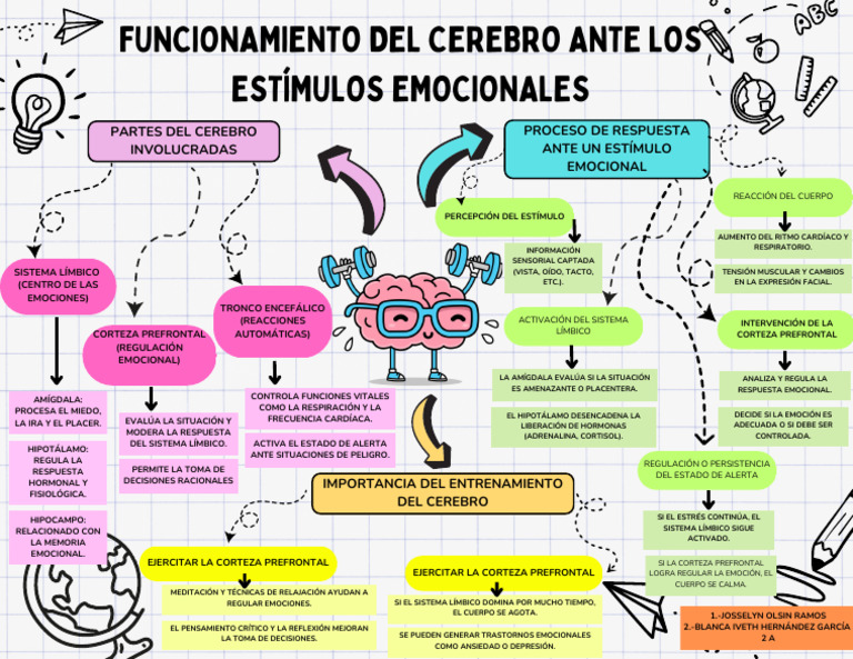 Organizador Grafico. | PDF | Las emociones | Sistema límbico