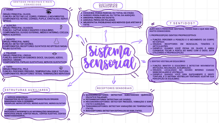 Mapa Mental Sobre o Sistema Sensorial Quiomica Ifro | PDF