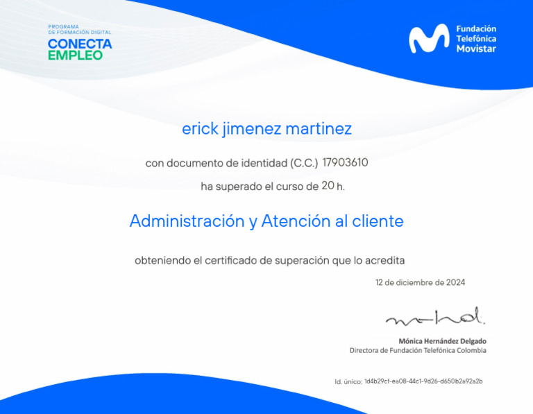 FT CO - Certificado Erick | PDF
