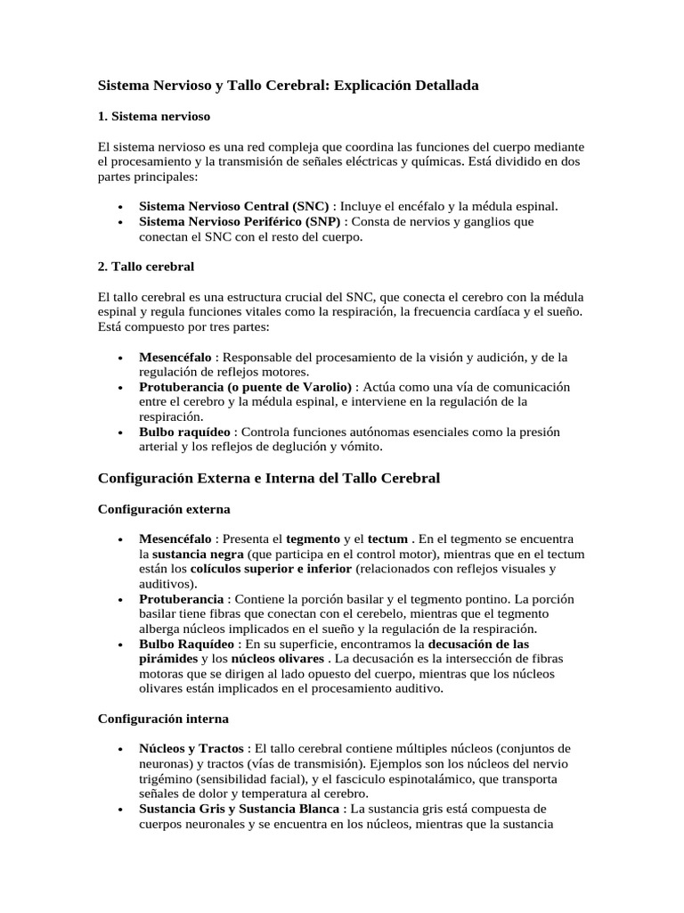 Sistema Nervioso y Tallo Cerebral | PDF | Cerebelo | Sistema nervioso central