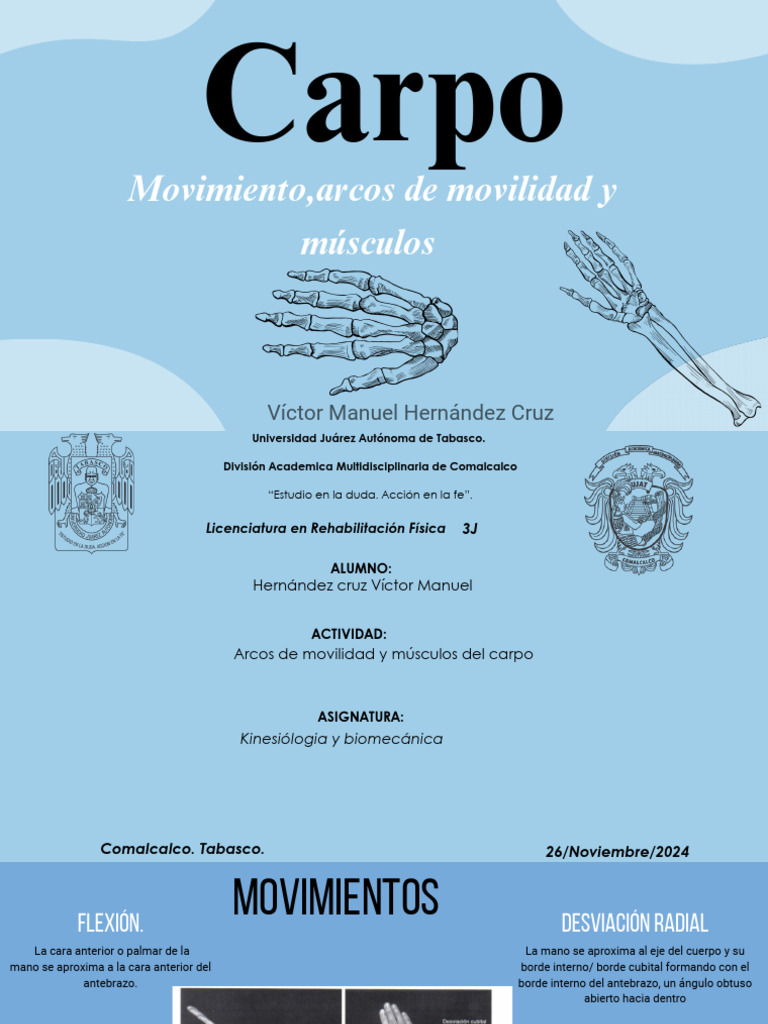 Arcos de movilidad y músculos del carpo | PDF | Mano | Anatomía humana
