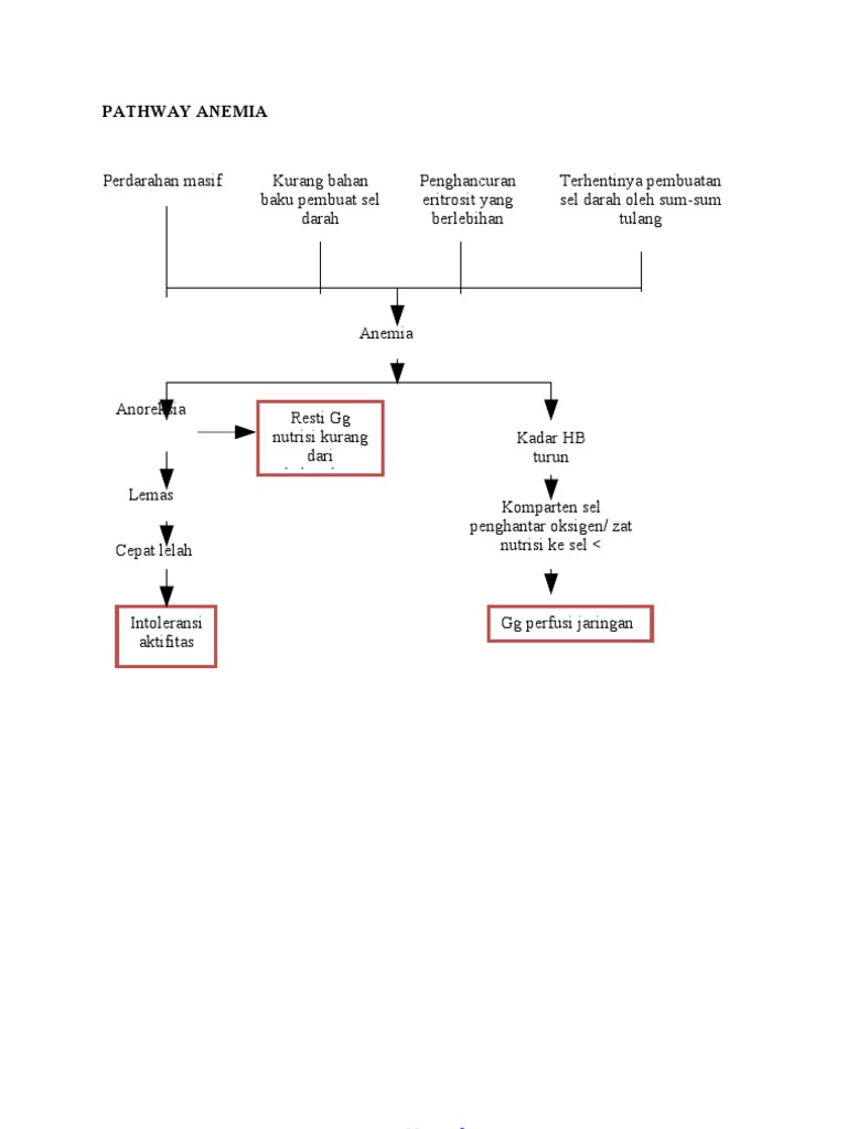 Pathway Anemia