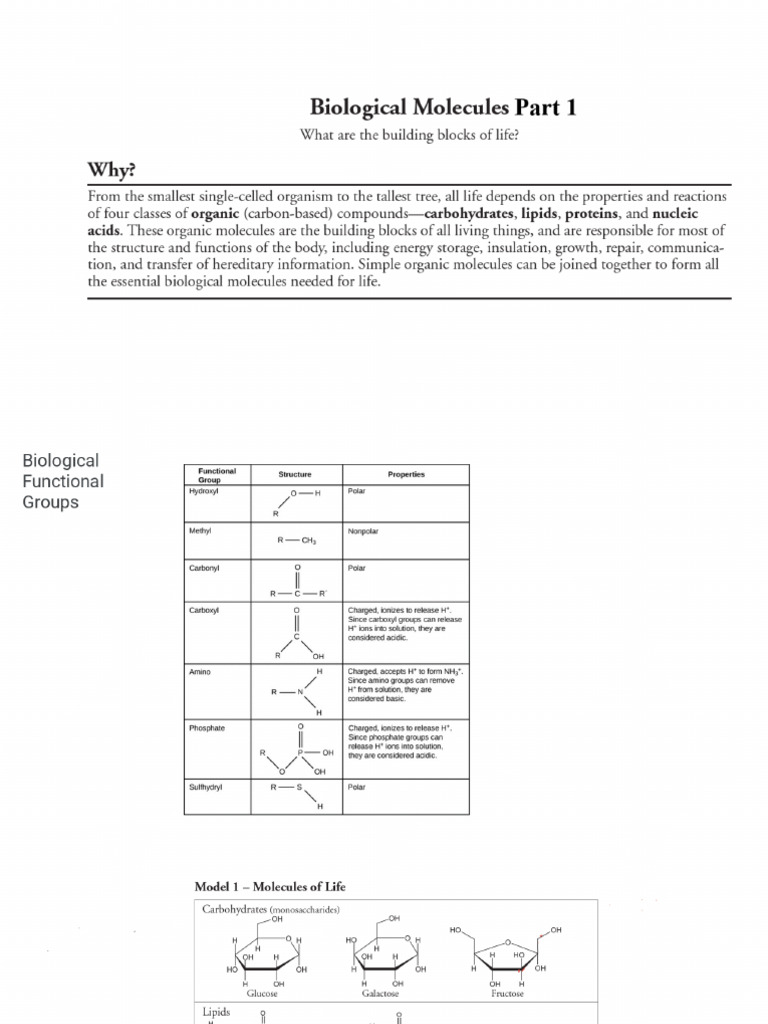 Biological Molecules Part 1 | PDF