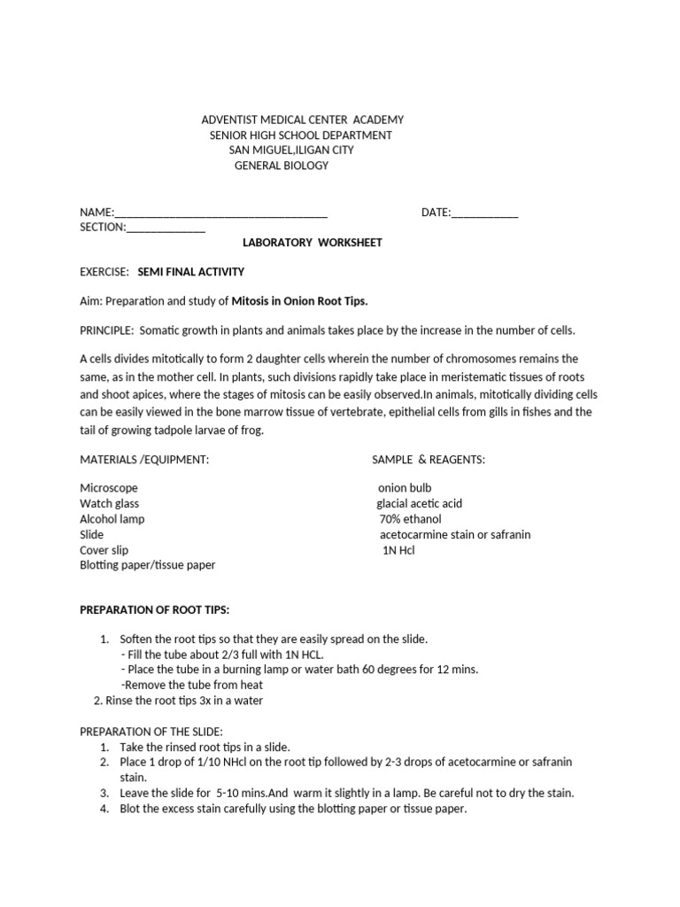 ONION-TIP-EXPERIMENT | PDF | Mitosis | Cell Cycle