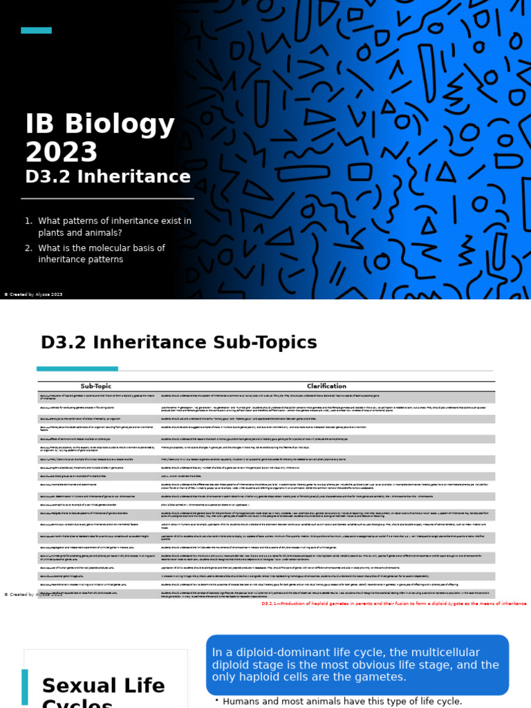 IB Biology Inheritance Guide | PDF | Dominance (Genetics) | Zygosity