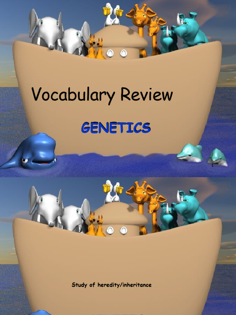 01 Vocabulary Review PPT - Genetics | PDF | Dominance (Genetics) | Genotype