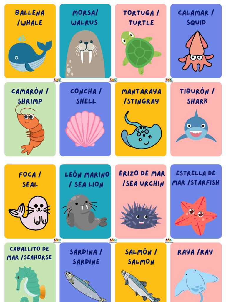 Marine Life Bilingual Glossary | PDF