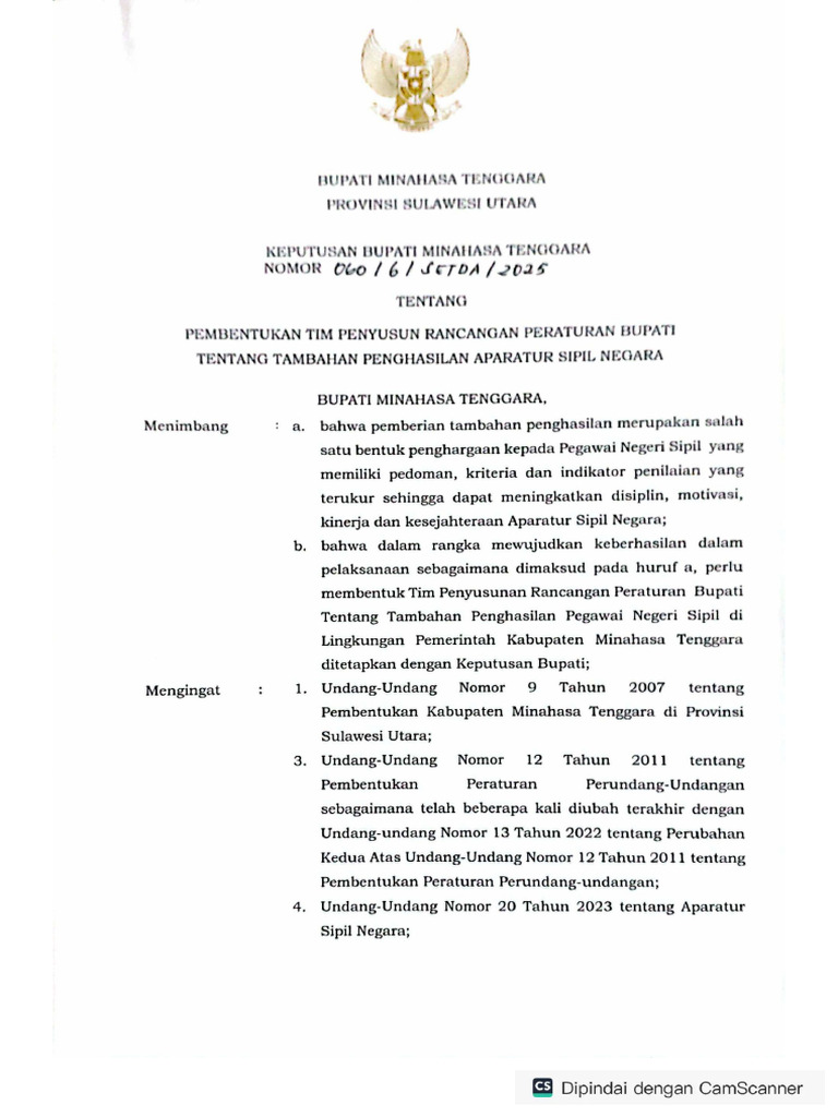 SK Tim TPP 2025 | PDF