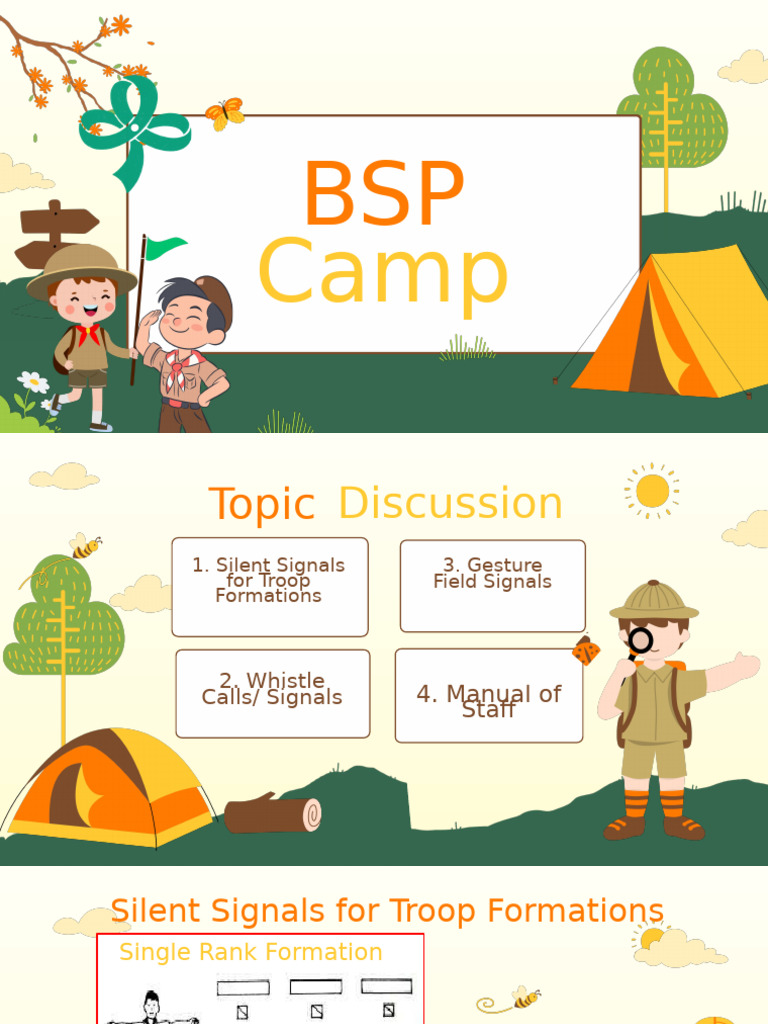 BSP Presentation | PDF