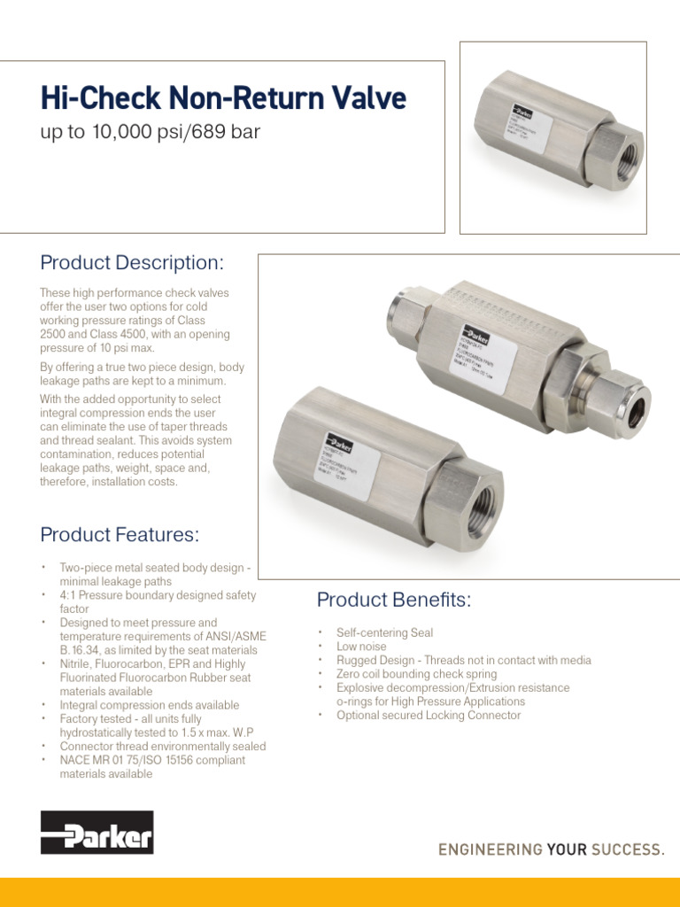 Hi Check Non-Return Valve Brochure 4190-CV Acid Saustic Dosing Valves ...