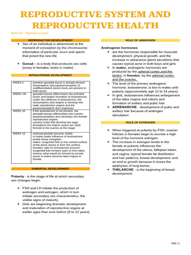 Reproductive System Development Overview | PDF | Menstrual Cycle | Uterus
