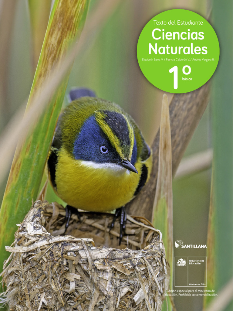 Articles-145396 Textoescolar Muestra | PDF