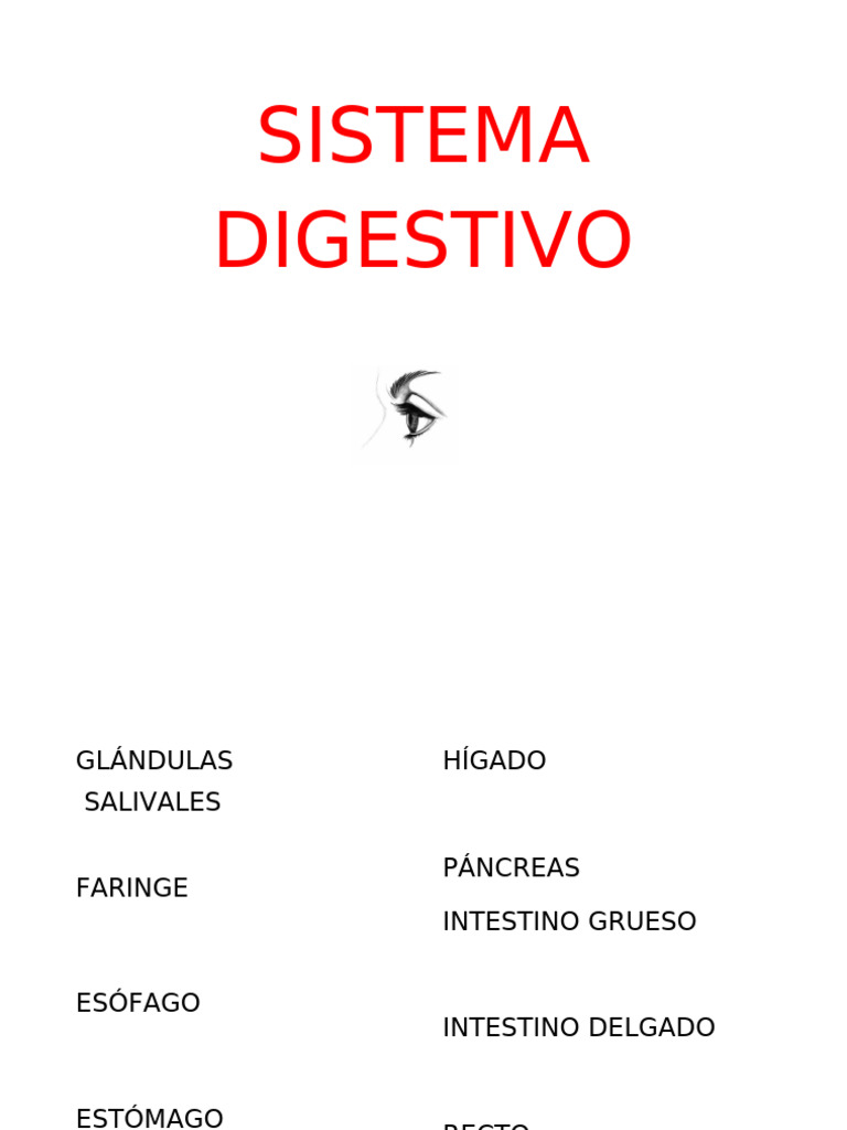 Esquema del aparato digestivo humano | PDF