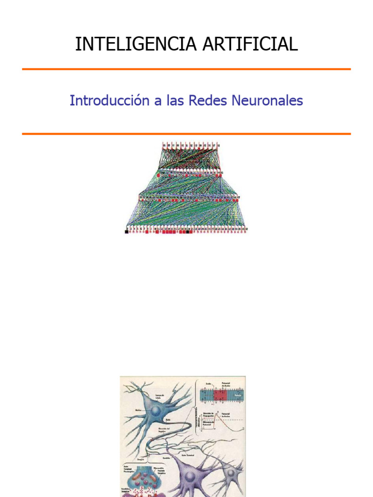 Redes Neuronales | PDF | Neurona | Sinapsis