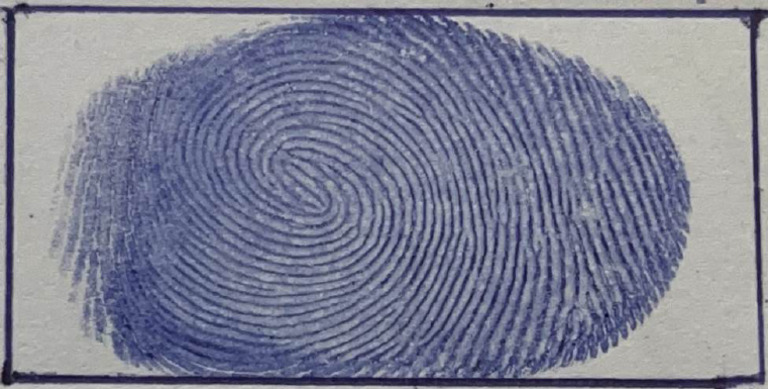 Scanned Documents-compressed 2 | PDF