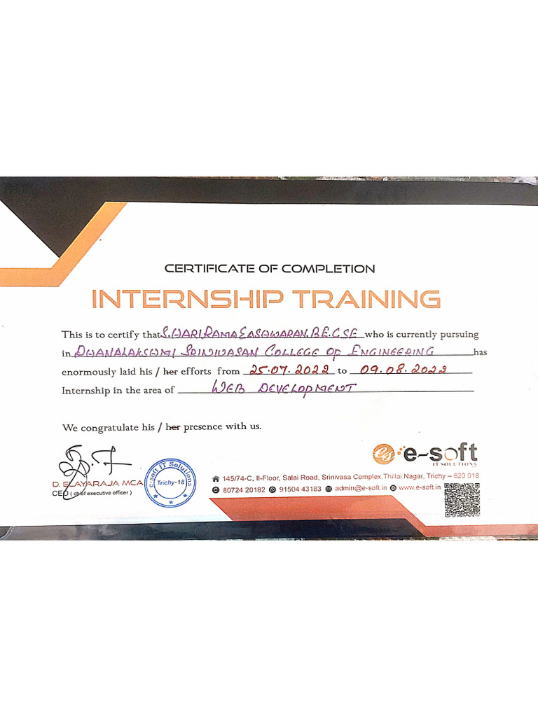 Internship | PDF