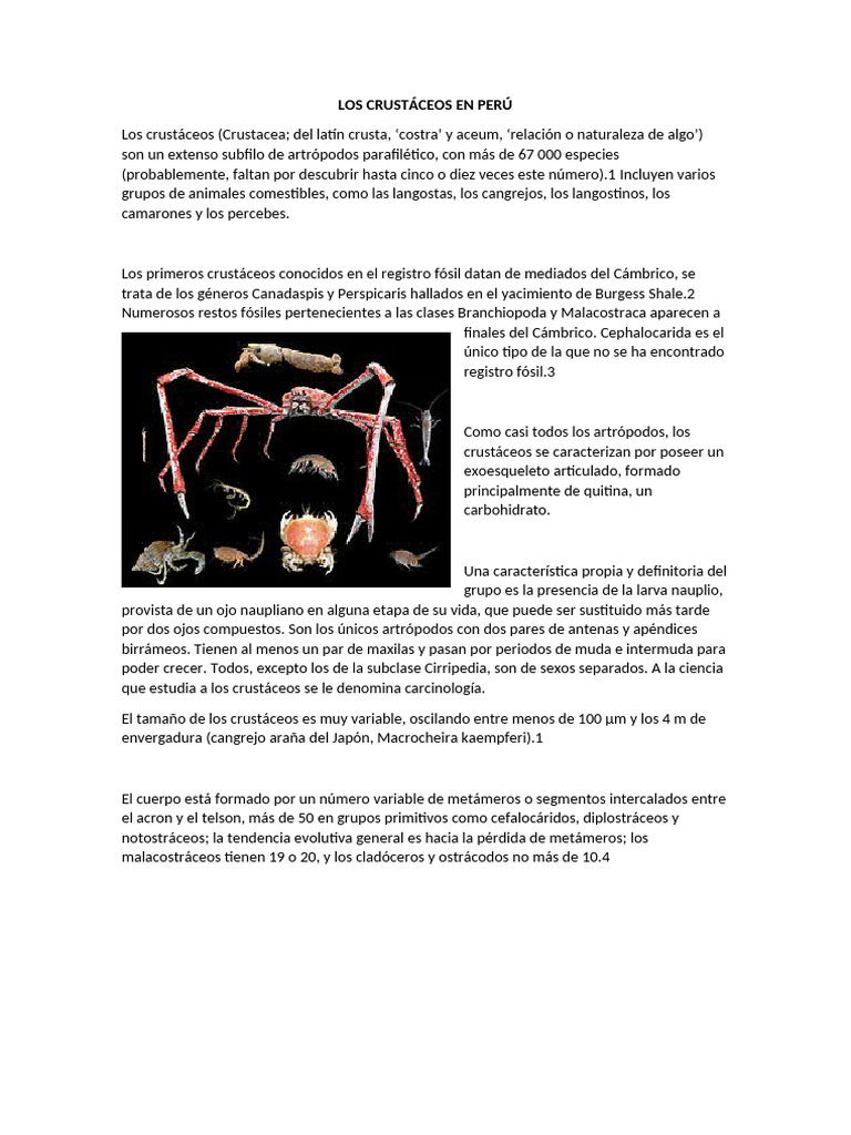 Clasificación de Crustáceos en Perú | PDF | Crustáceo | Artrópodos