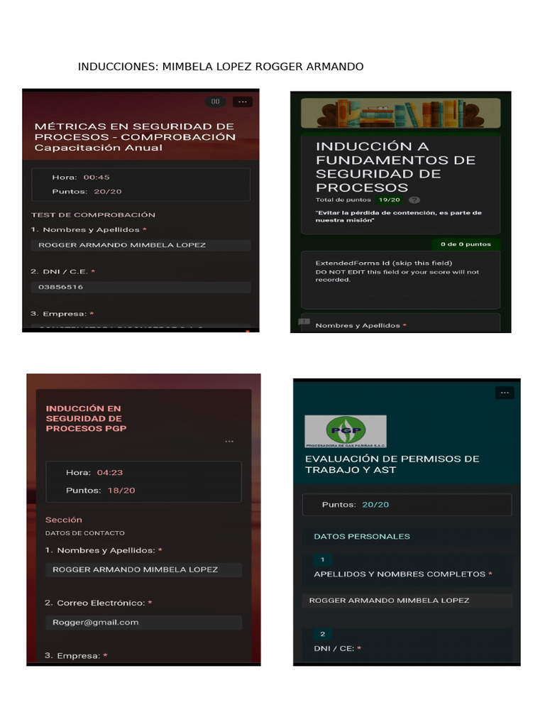 INDUCCION - MIMBELA LOPEZ | PDF