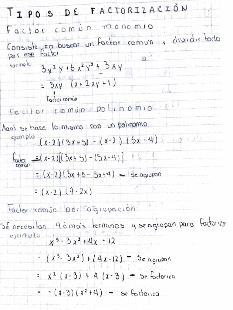 Tipos de Factorizacion - Ingrid Eunice Ortiz Perez | PDF