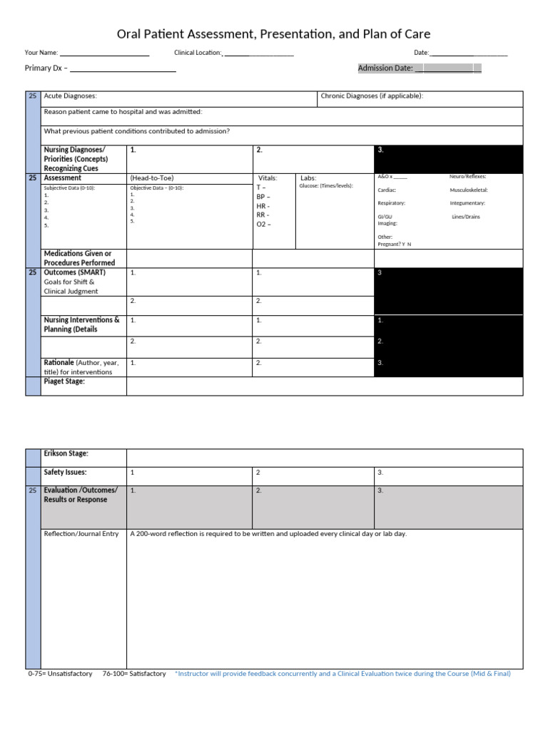 Walking Oral Rounds Patient Assessment and Plan of Care NURB 266 | PDF ...