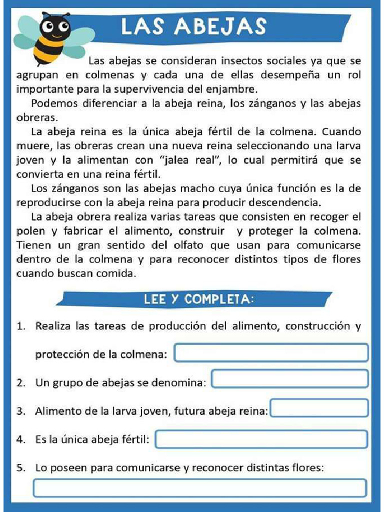 Lecturas de Comprensión Lectora para 4to, 5to y 6to Grado | PDF