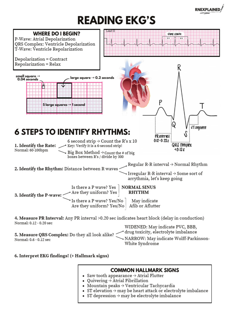 EKG Bundle 2024 Etsy | PDF | Electrocardiography | Heart