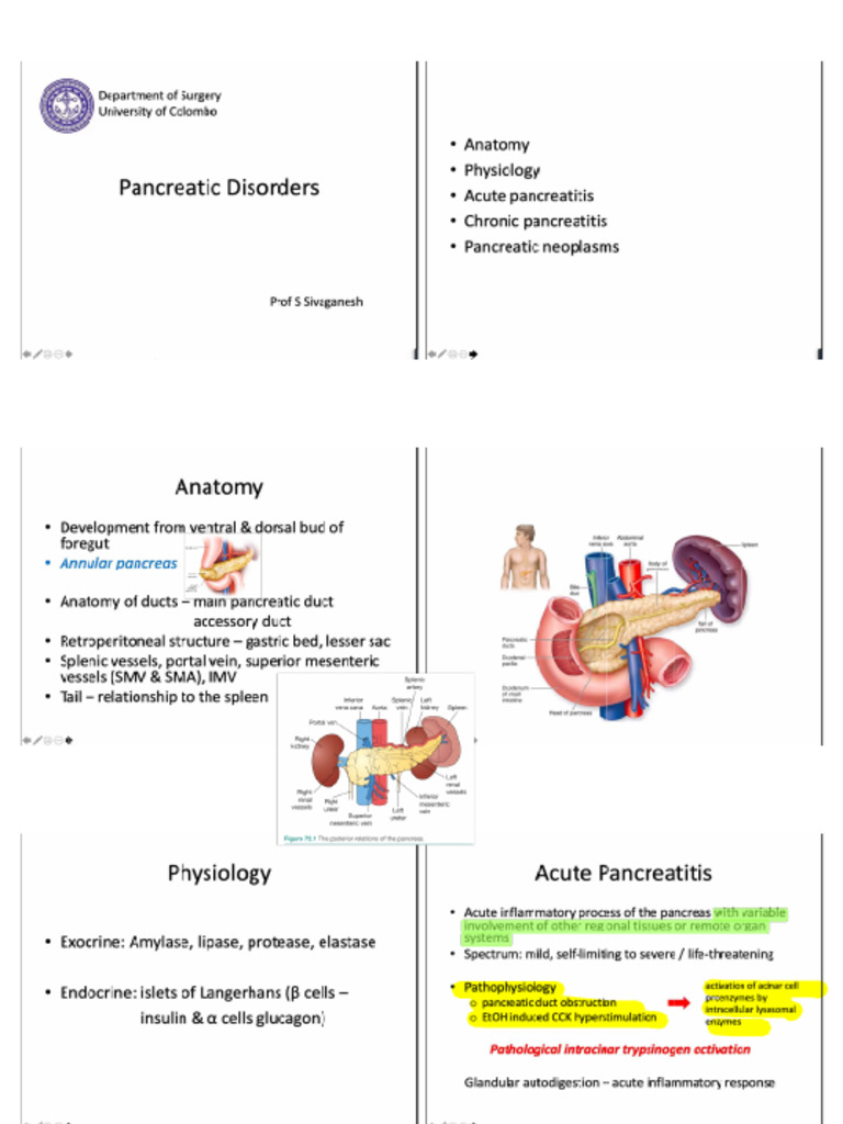 Pancreatic Disorders 250217 224925 | PDF