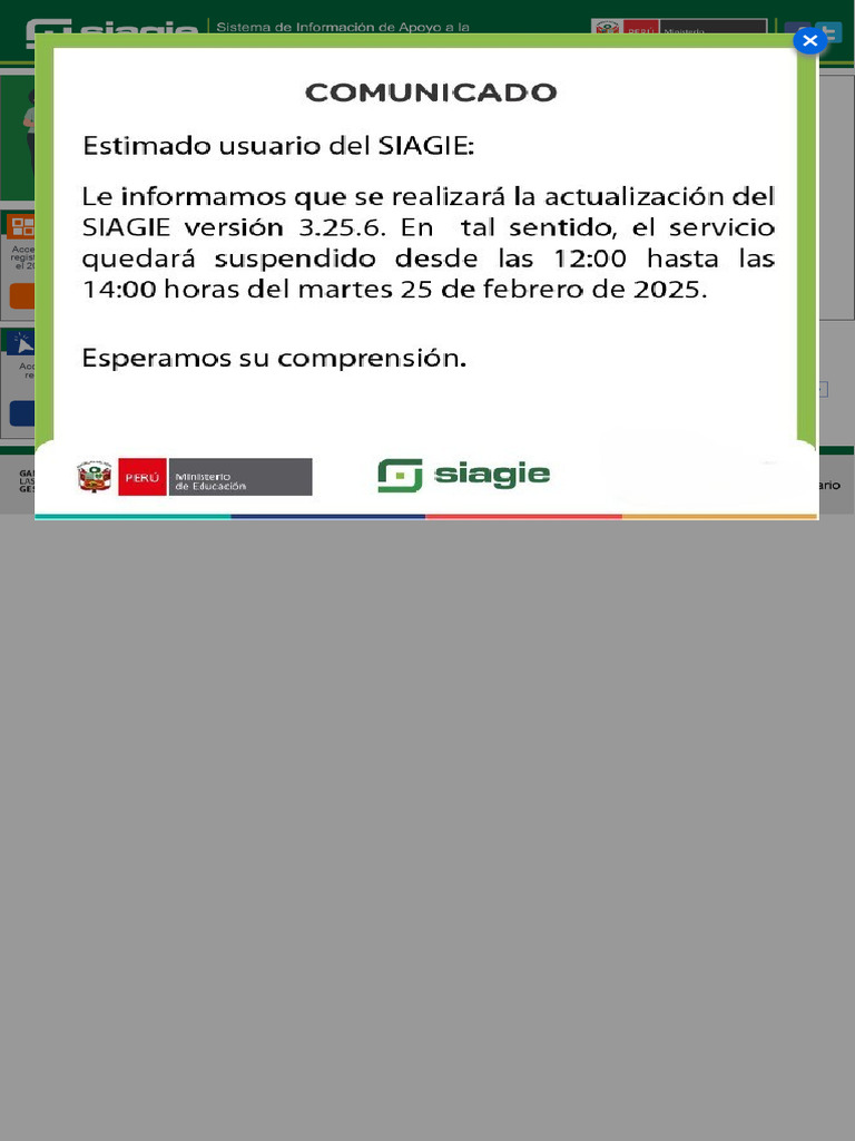 Acceso y Guía para SIAGIE 2024 | PDF | Informática
