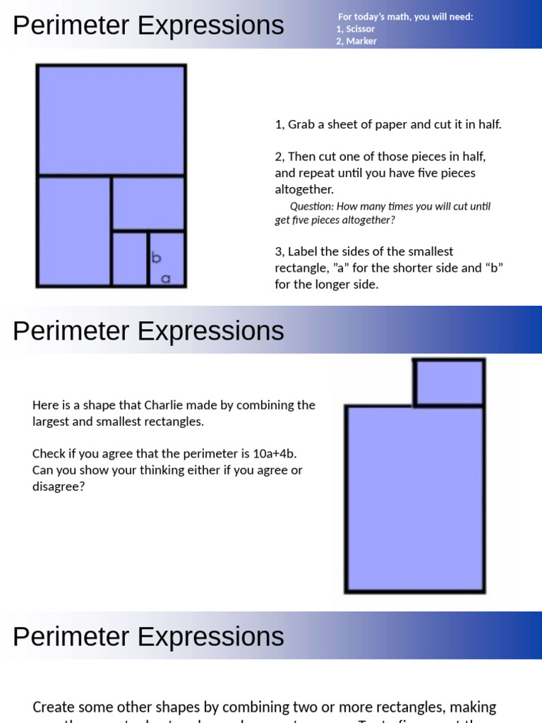 Perimeter | PDF