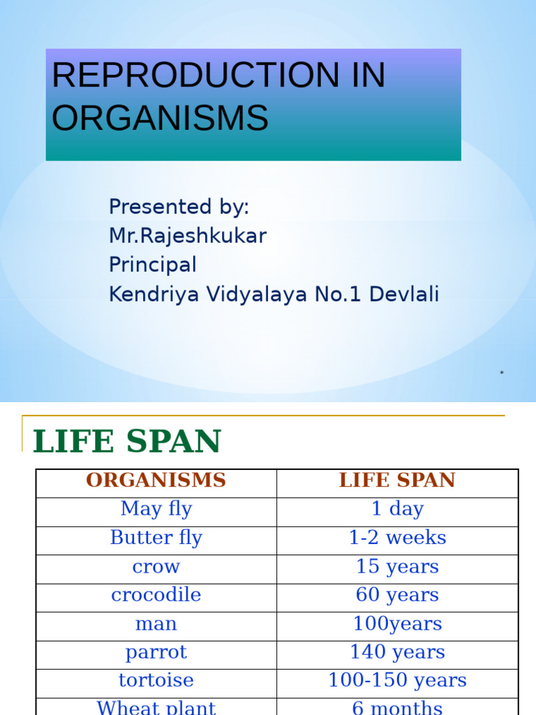 1 Reproductioninorganisms | PDF | Fertilisation | Sexual Reproduction