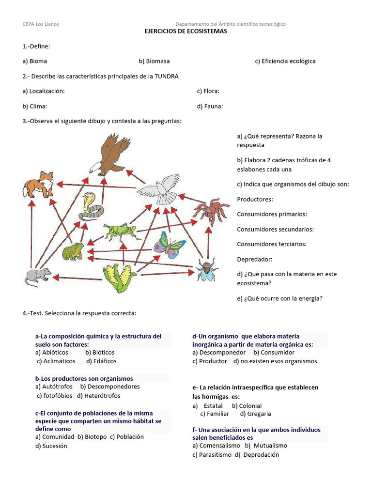 Ejercicios Redes Troficas | PDF | Ecosistema | Ecología