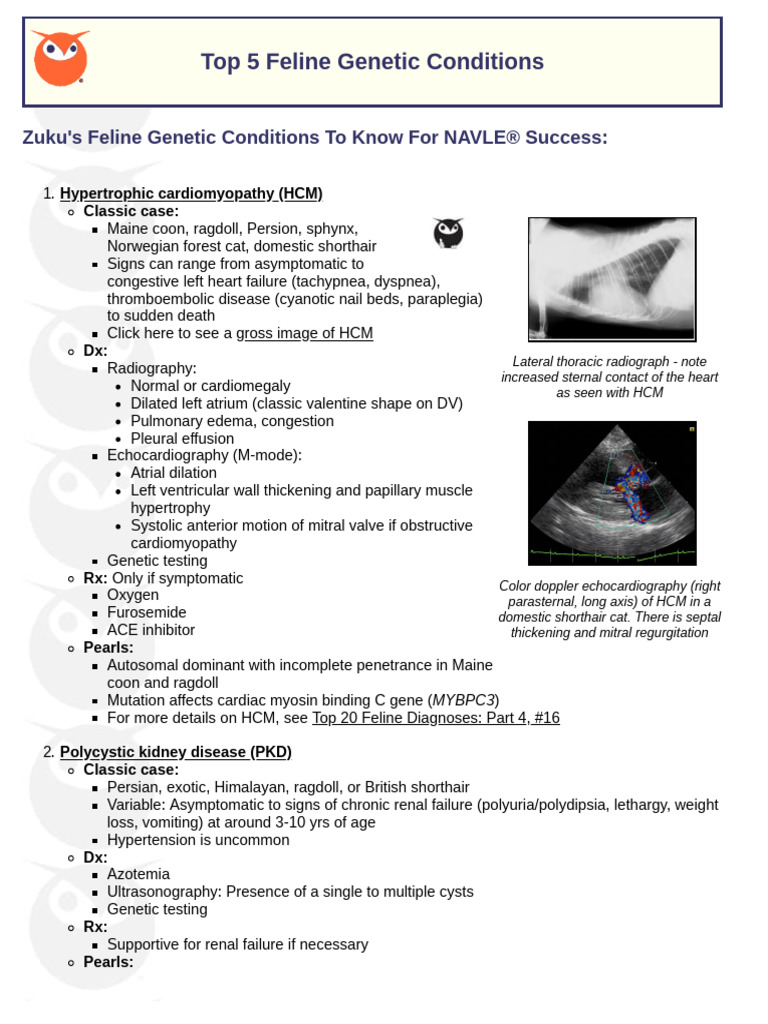 Top 5 Feline Genetic Conditions 0 | PDF | Medical Specialties ...