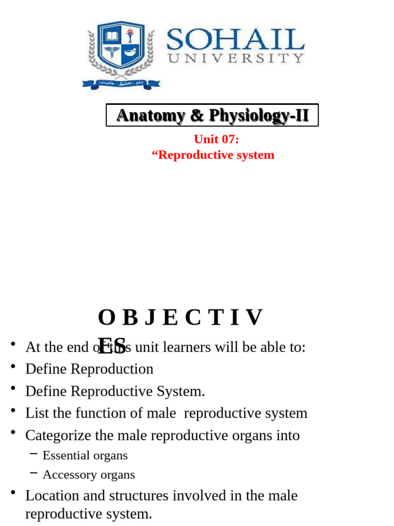 Unit-07 - Final Sexual Reproductive System | PDF | Testicle ...