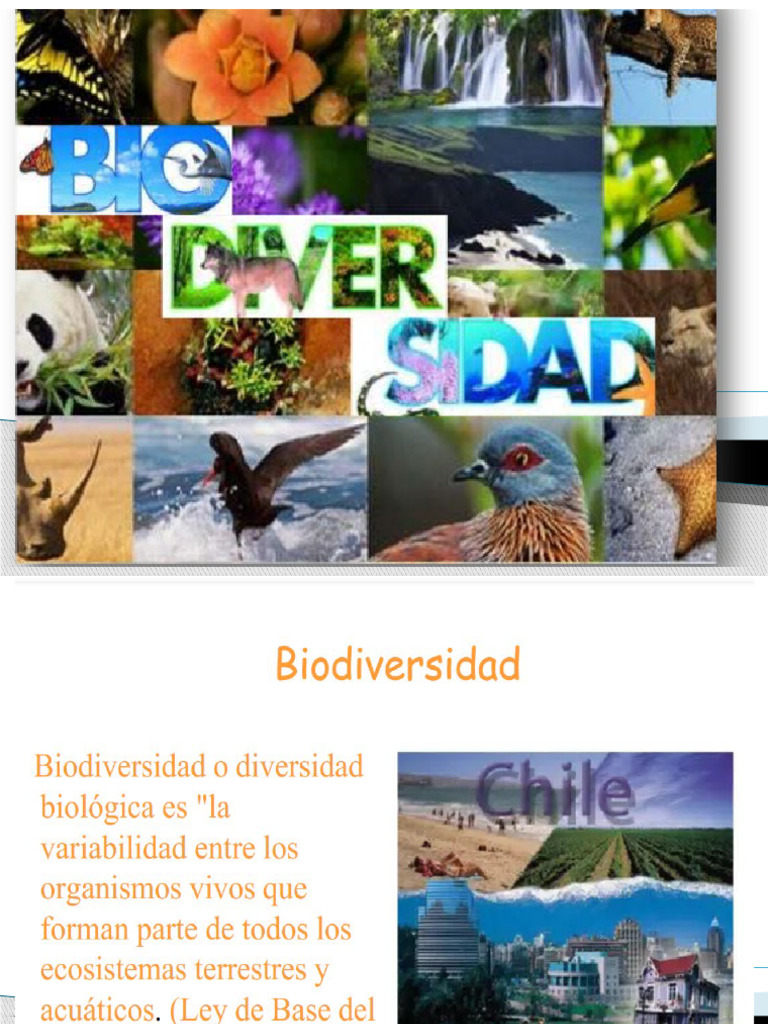 Bio Divers i Dad | PDF