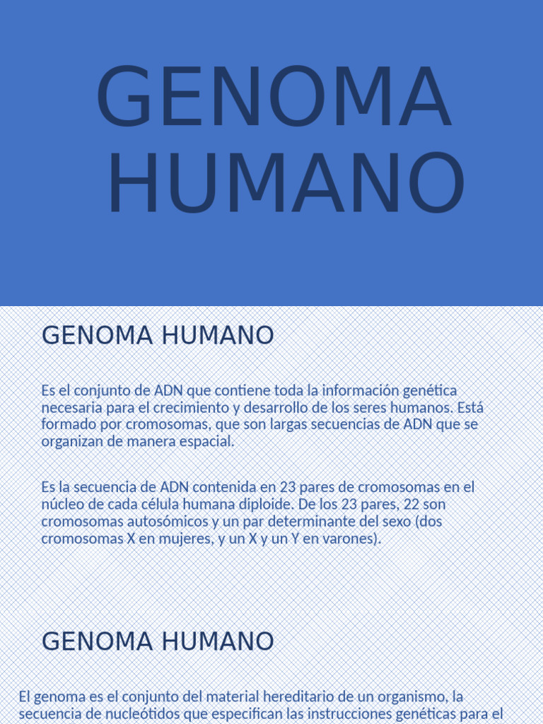 15 Genoma Humano | PDF | Rna | Adn