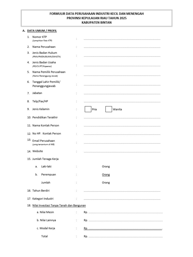 Formulir Data Perusahaan Kecil 2025 | PDF