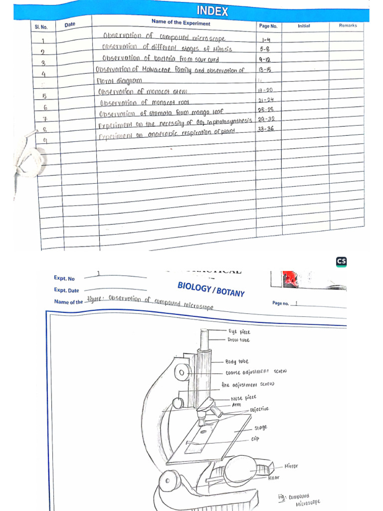 Bio Practical(1st Year) | PDF