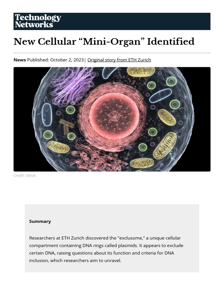 New Cellular "Mini-Organ" Identified | PDF | Cell (Biology) | Cell Nucleus